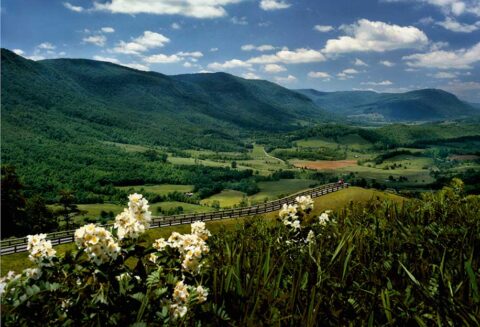 Powell Valley Scenic Overlook - Big Stone Gap